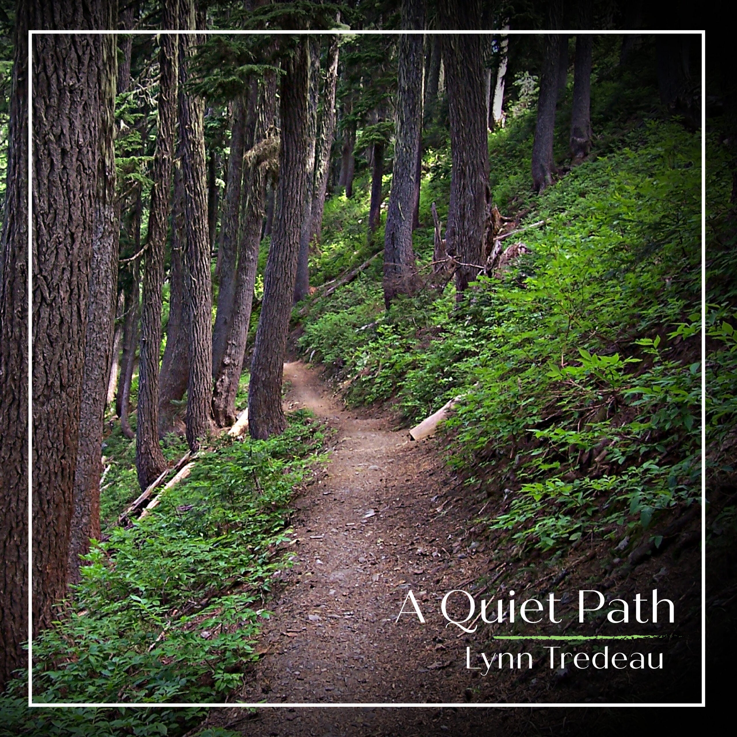 A Quiet Path -Digital Album – Lynn Tredeau